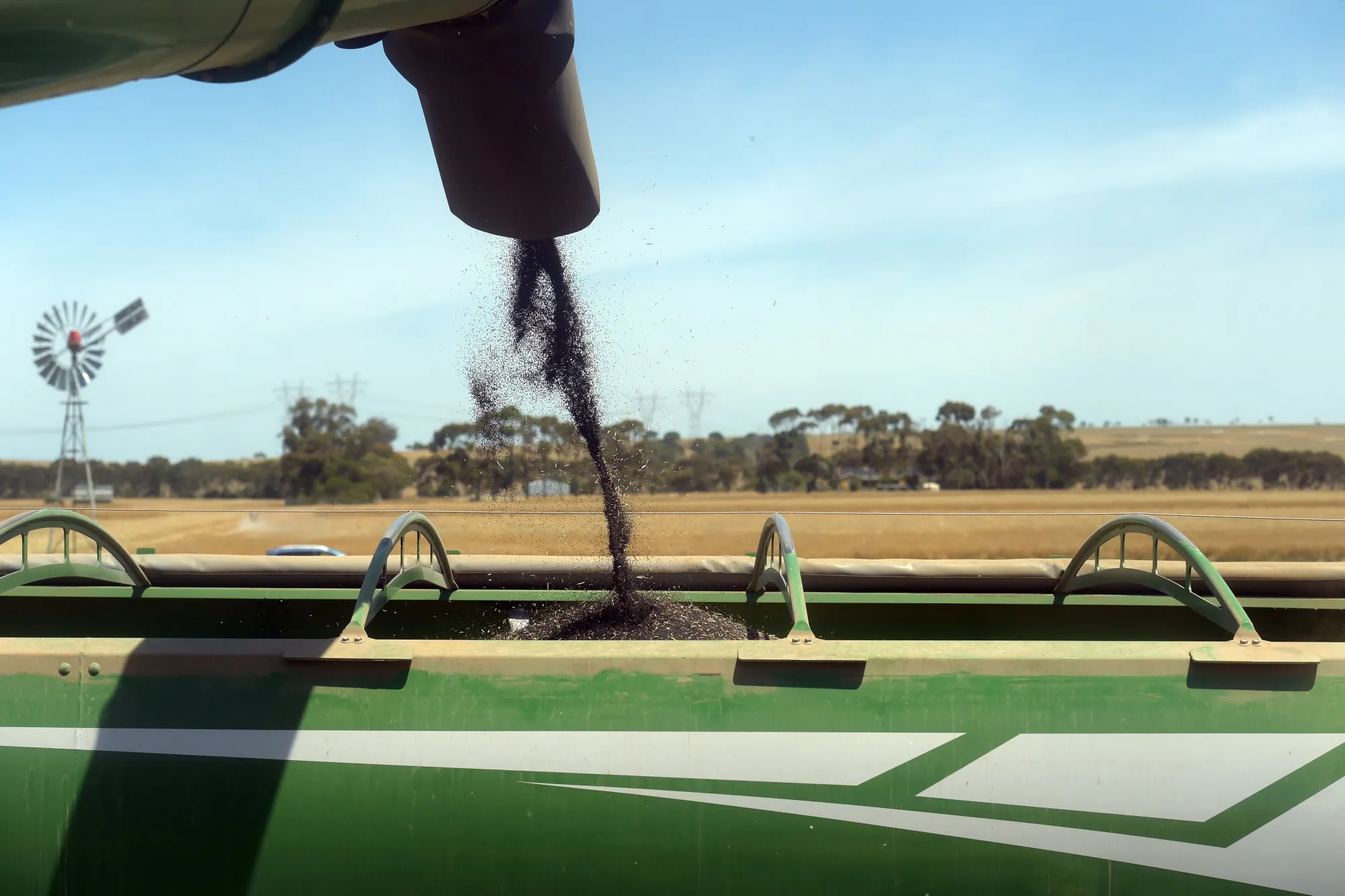 China Clears Australian Canola Cargo to Revive Stalled Flows - Bloomberg