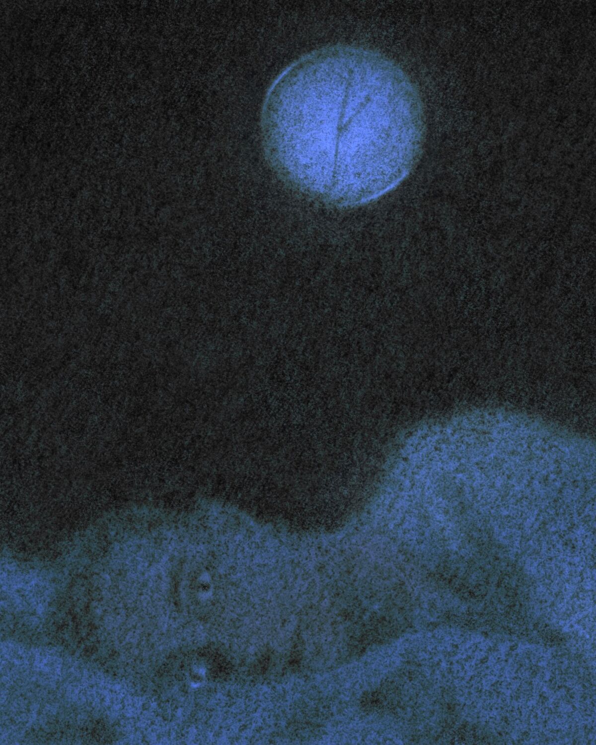 Can You Learn to Sleep in Your 60s? A Writer’s Quest to Beat Insomnia ...