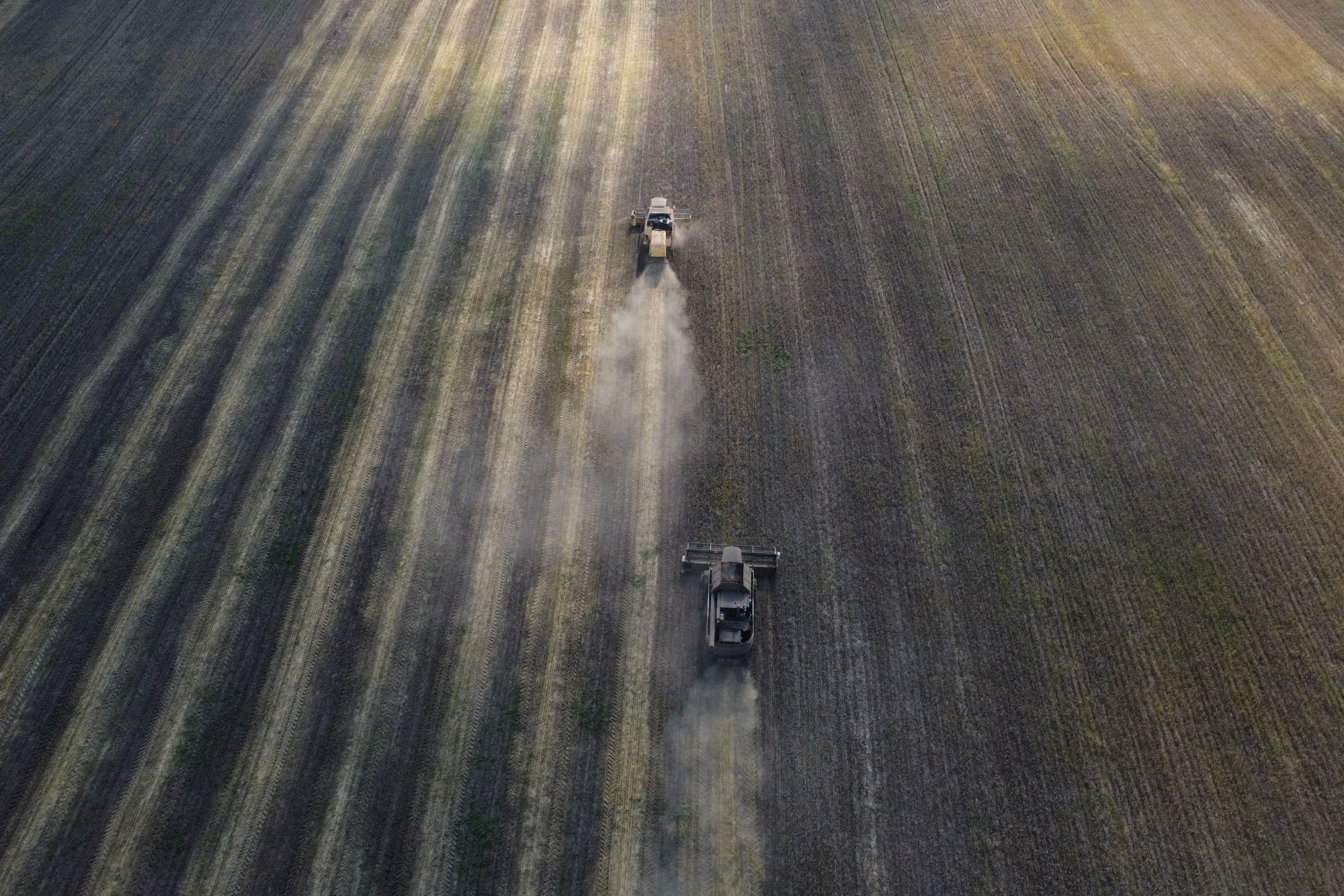 Russian Wheat Shipments Set to Slow After Record Early Pace - Bloomberg