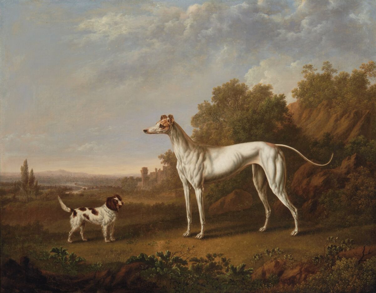 Old Dog Art