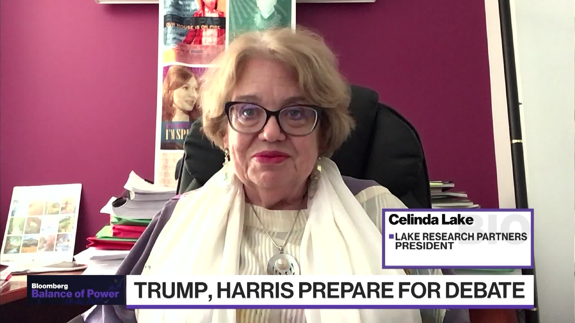 Watch Democratic Pollster Celinda Lake on Economic Messaging and ...