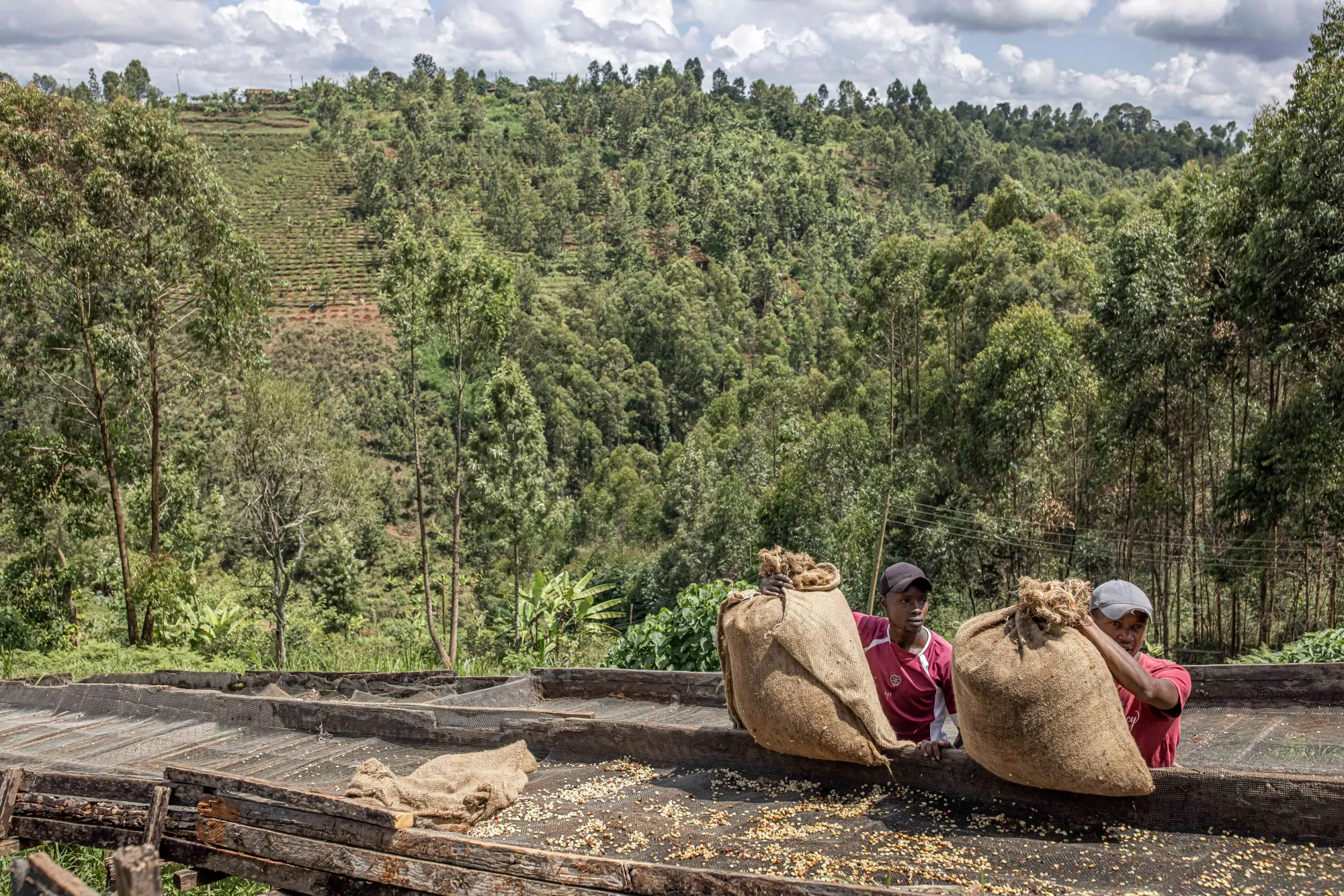 Kenya’s Economy Expands at Slowest Pace in More Than a Year - Bloomberg