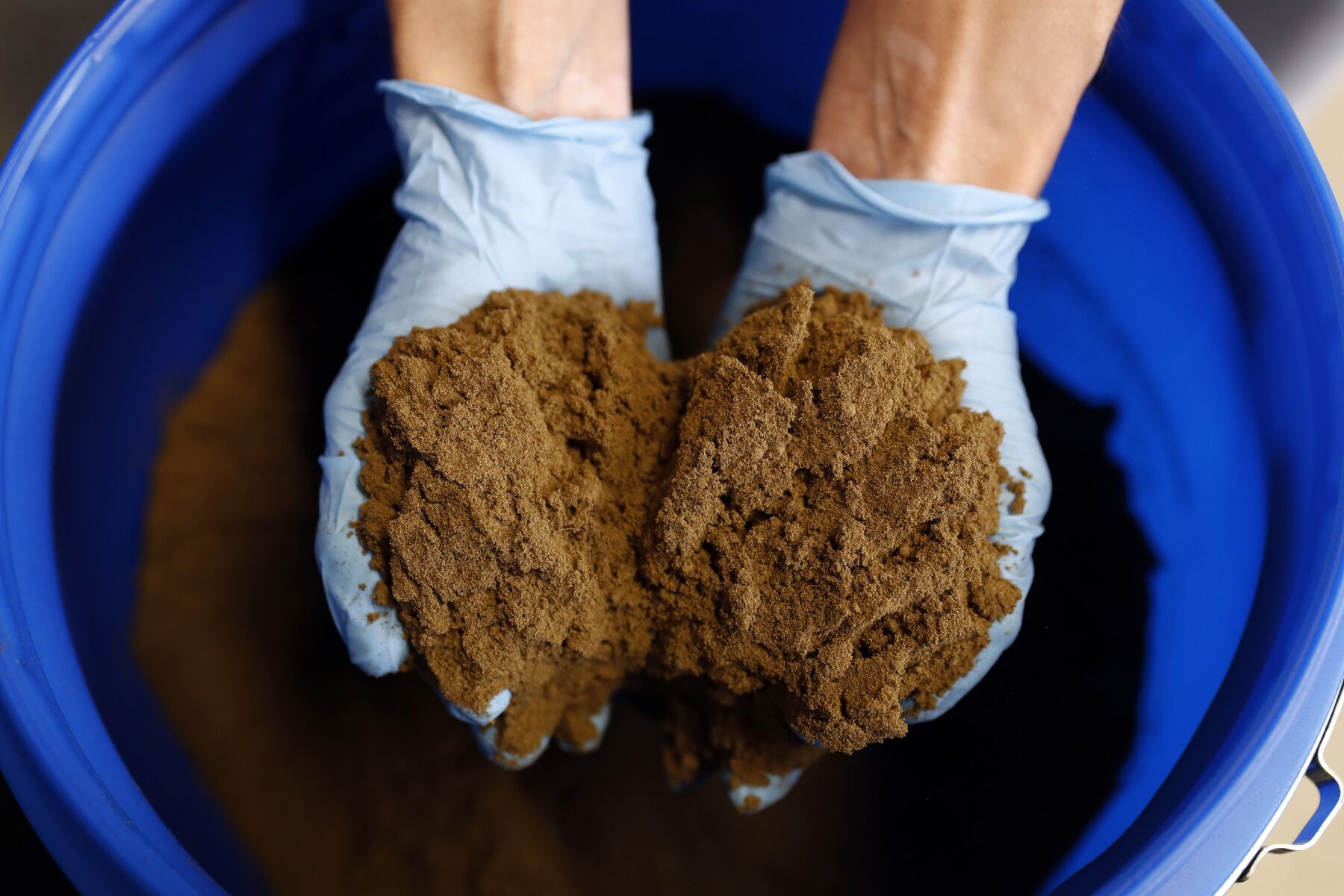 Hashish Becoming the Most Popular Way to Consume Legal Cannabis - Bloomberg