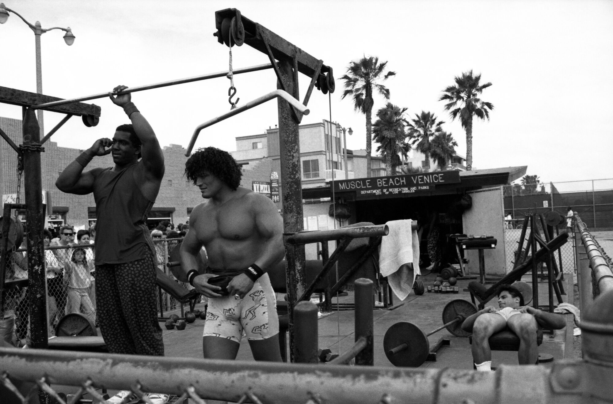 Bodybuilders, Joe Rogan and the Modern MAGA Male Style