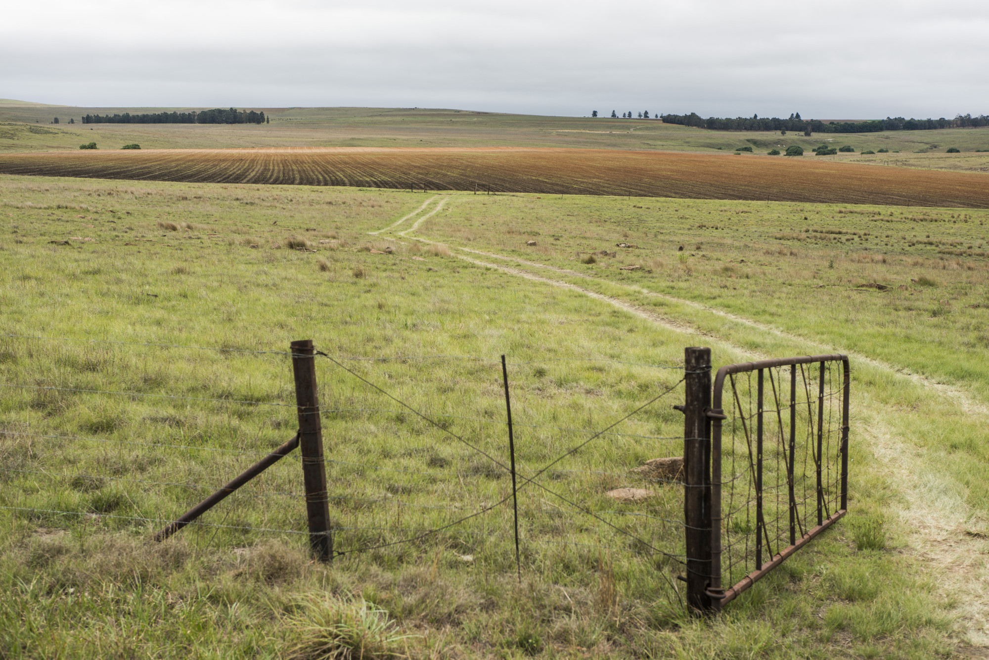 South Africa Releases Draft Land-Expropriation Bill for Comment - Bloomberg