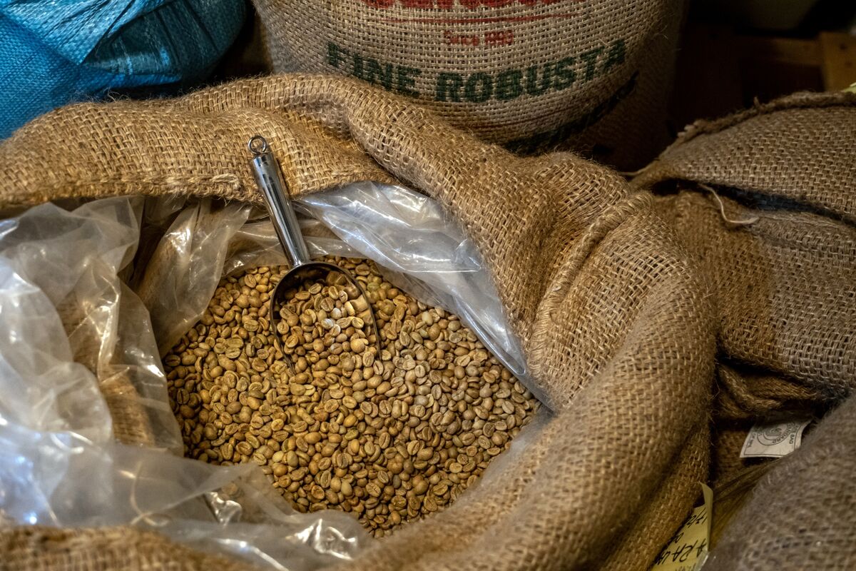 Red Sea Shipping Turmoil: Robusta Coffee Trade Flows Upended - Bloomberg