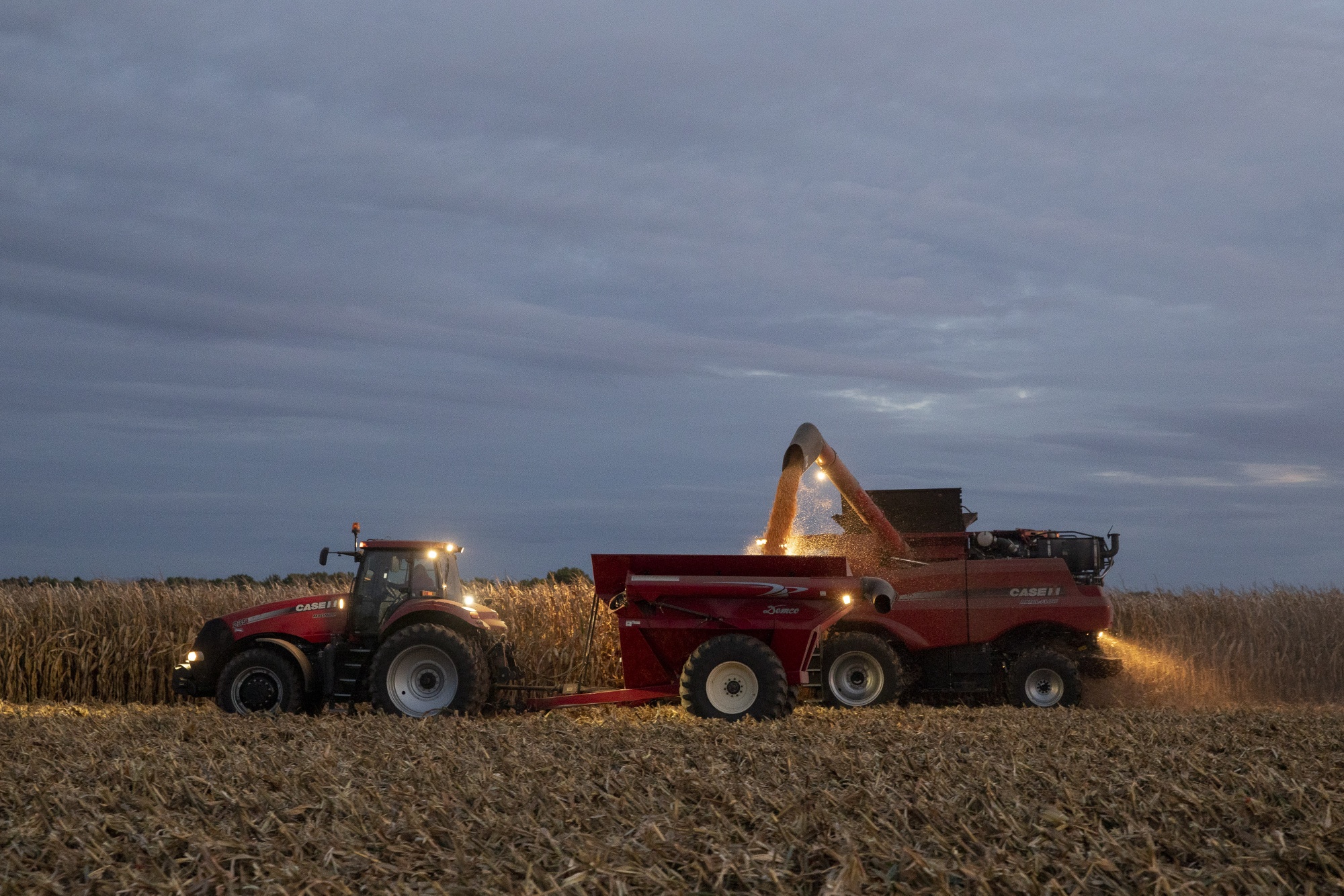 Corn Surpasses Soybeans Again for US Farmers - Bloomberg