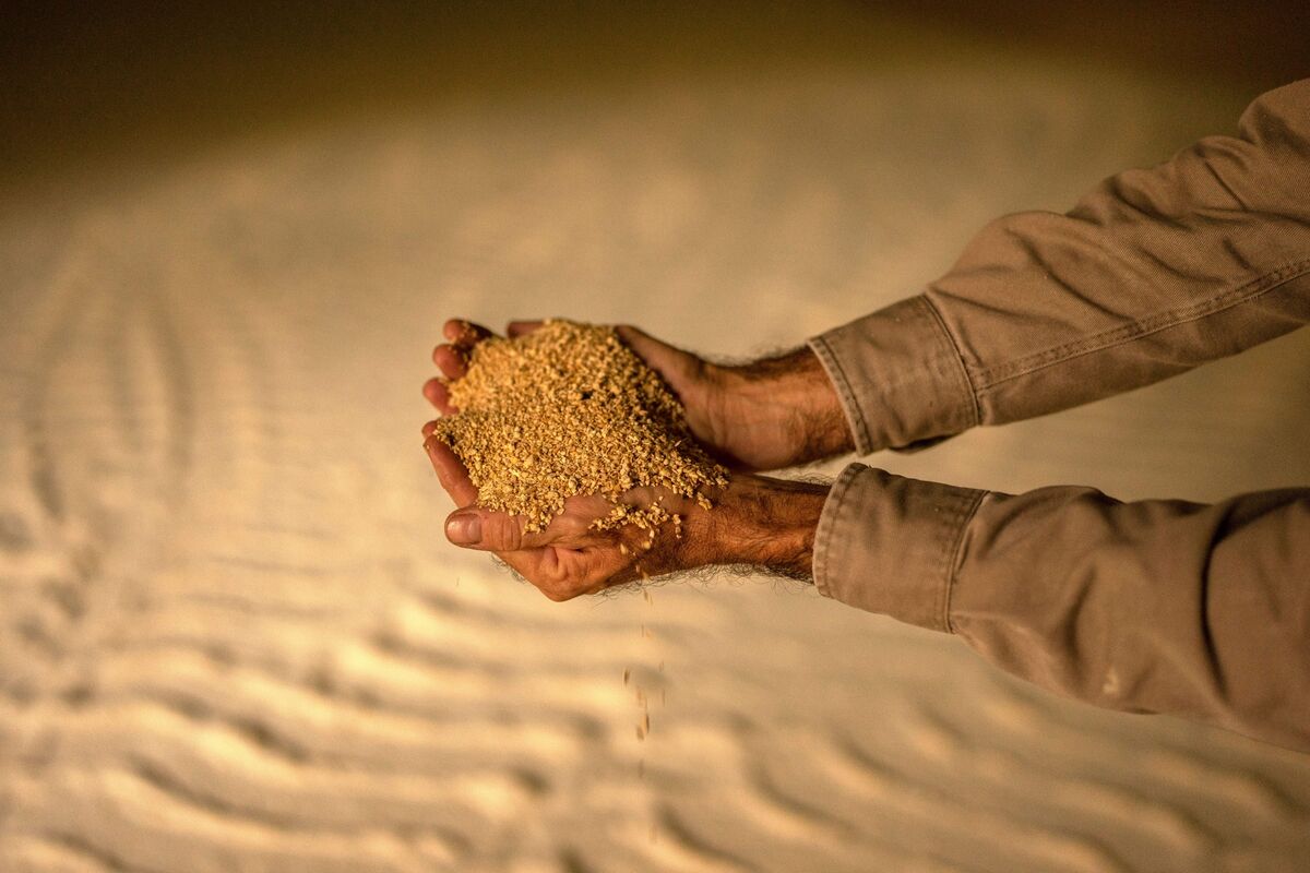 China’s Citic to Develop Large Soybean, Corn Farms in Angola - Bloomberg