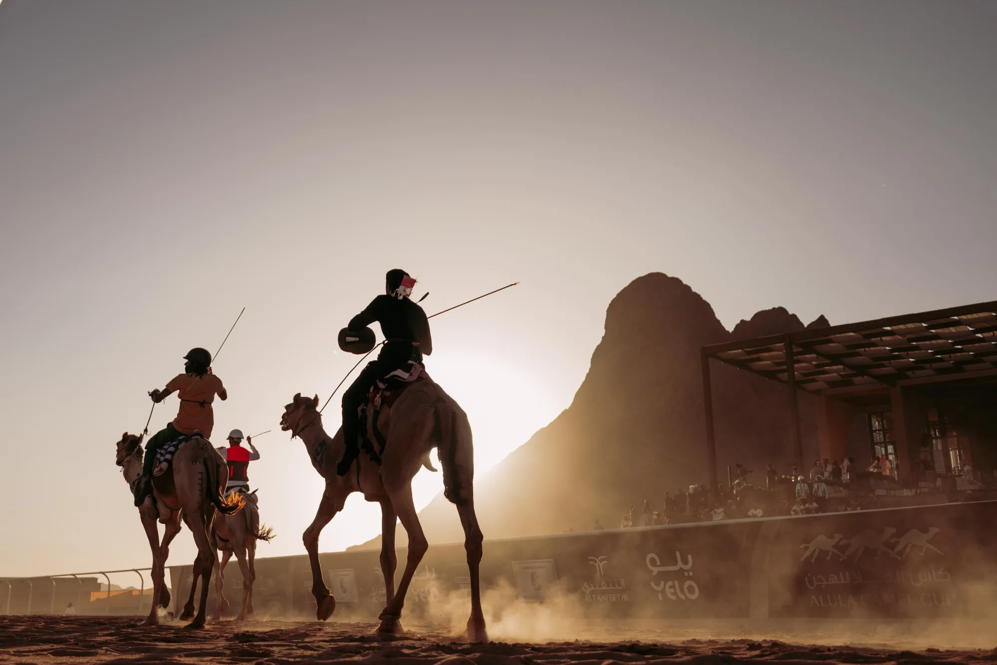 Grammy Winner Swizz Beatz Eyes $21 Million Haul With Saudi Camel Racing ...