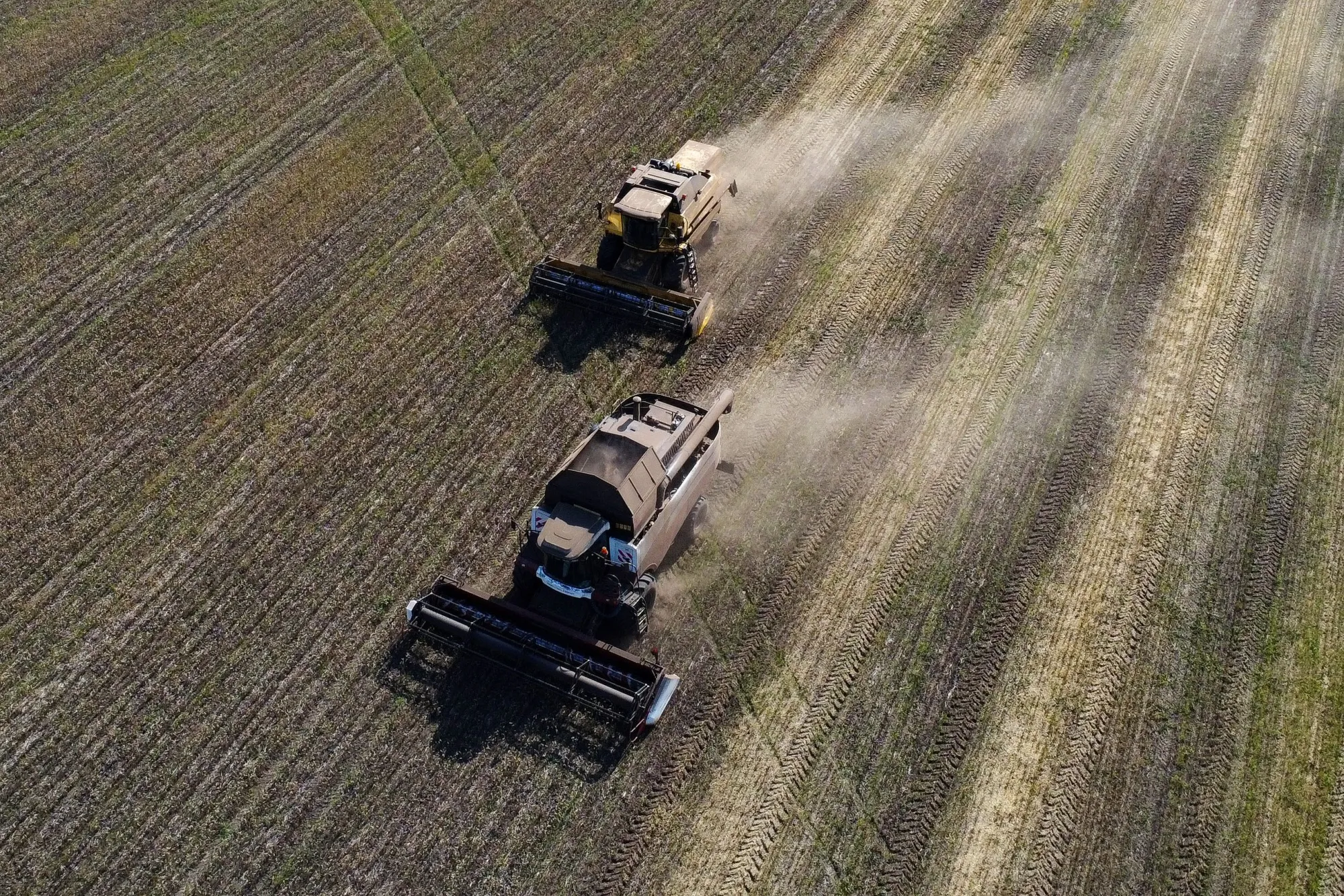 Russia Spring Wheat Planting Continues to Lag on Poor Weather - Bloomberg