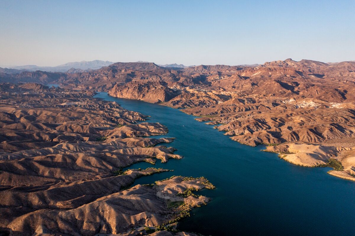 Zero Podcast Listener Survey - Bloomberg