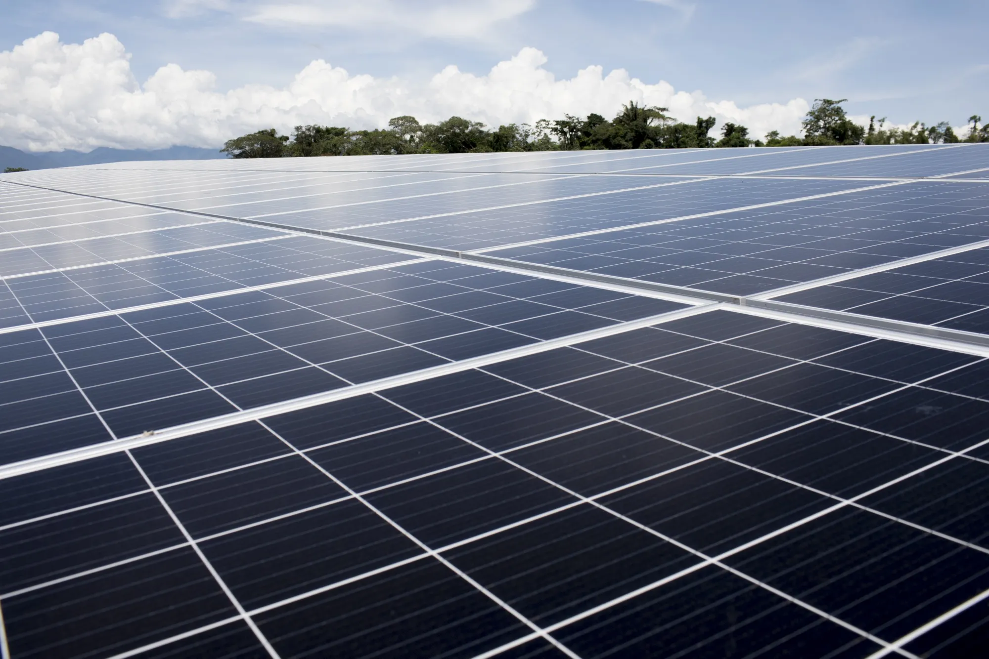 Dutch Firm CFM Invests $55 Million in Colombian Renewable Energy ...