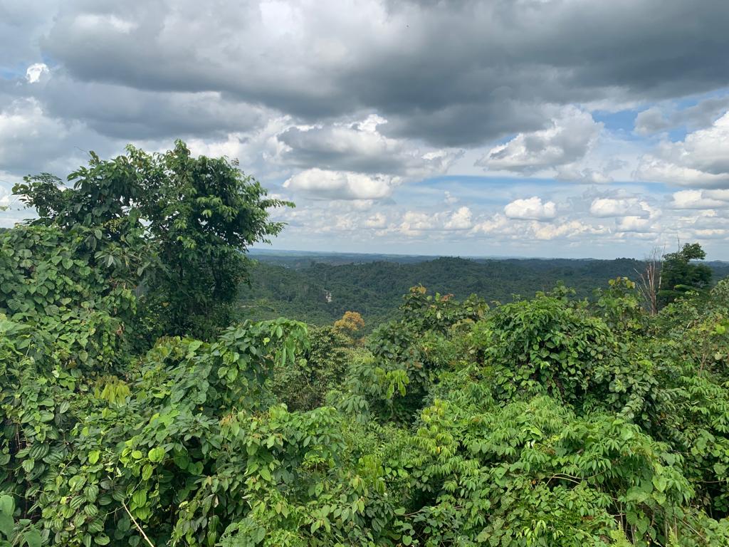 Indonesia’s New Capital: $34 Billion Boondoggle or Game-Changer ...