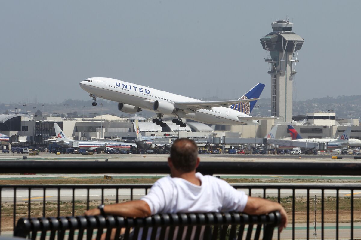 Outcry Over Dead Dog Intensifies Pressure on United CEO - Bloomberg