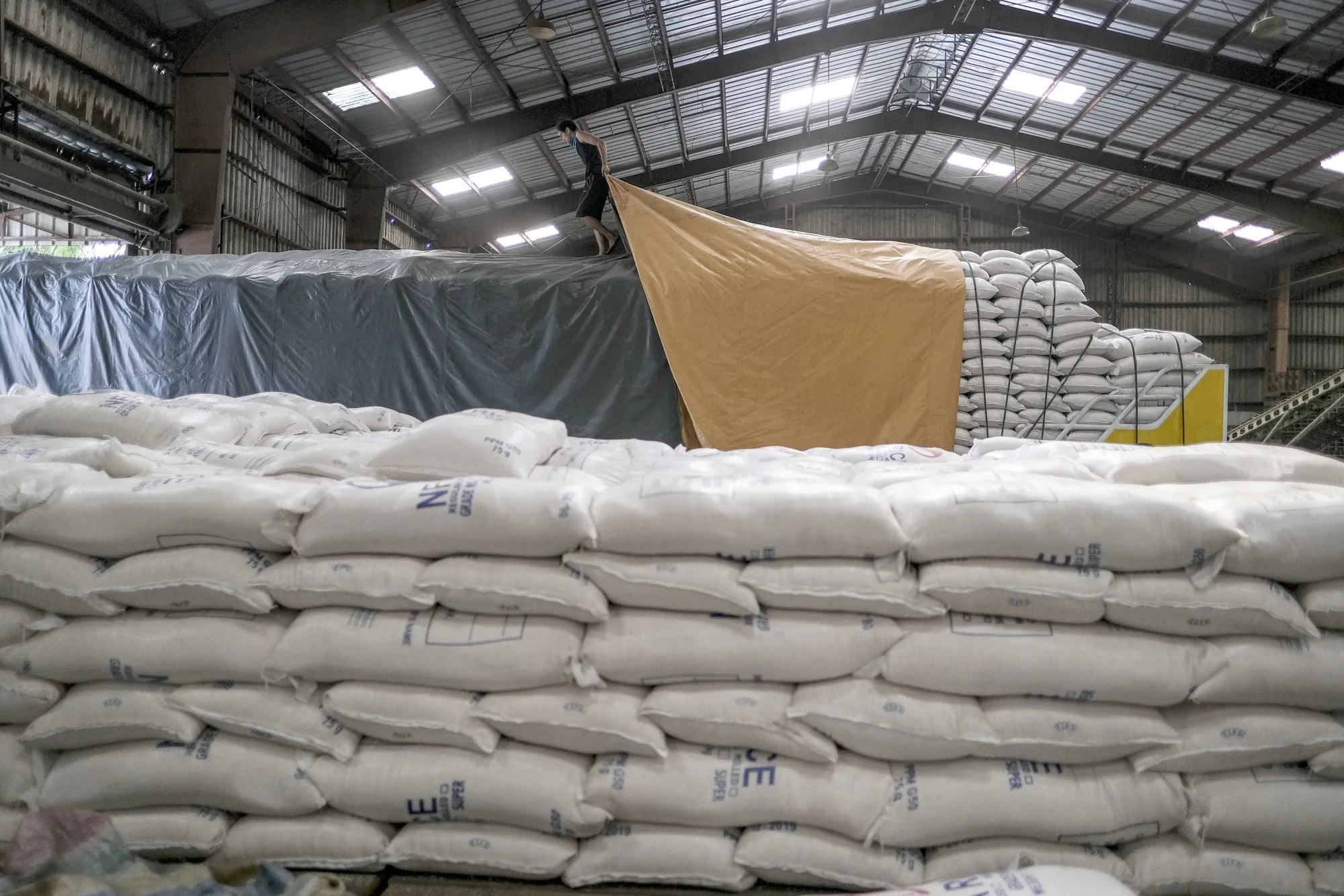 Philippines Steps Up Food Sufficiency Measures Amid Lockdown - Bloomberg