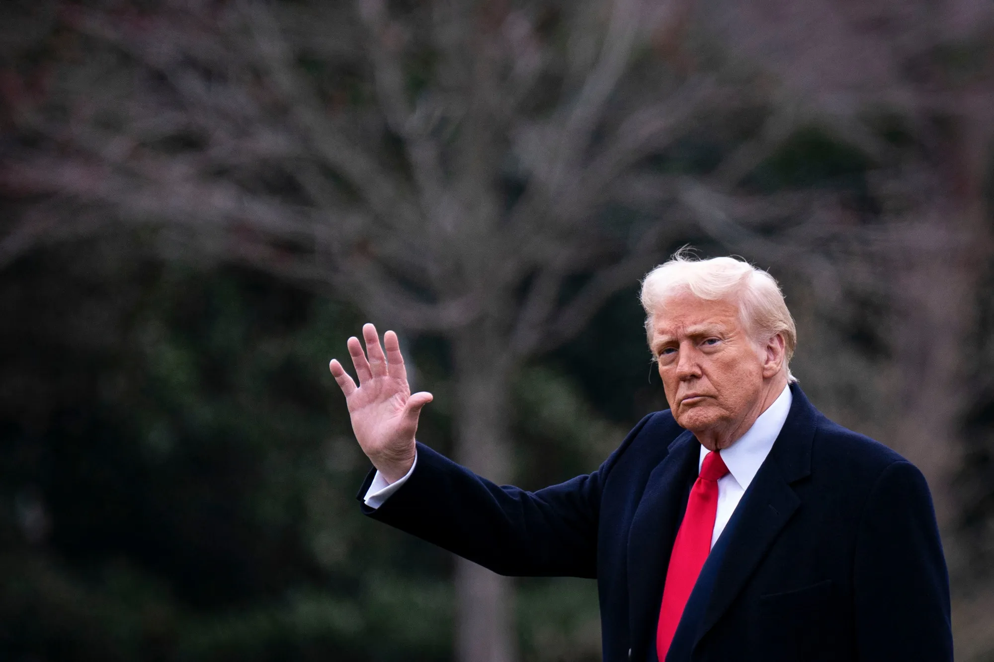Trump to Talk to Putin Tuesday About Ukraine - Bloomberg