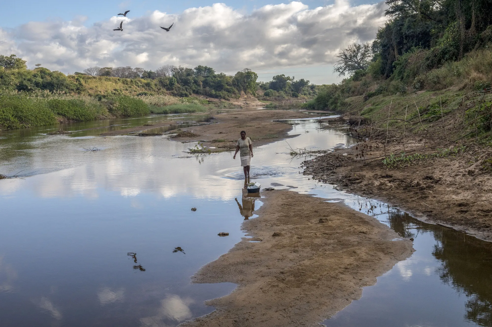 Zimbabwe Sets Up Carbon Markets Watchdog to Govern Trading Activity ...