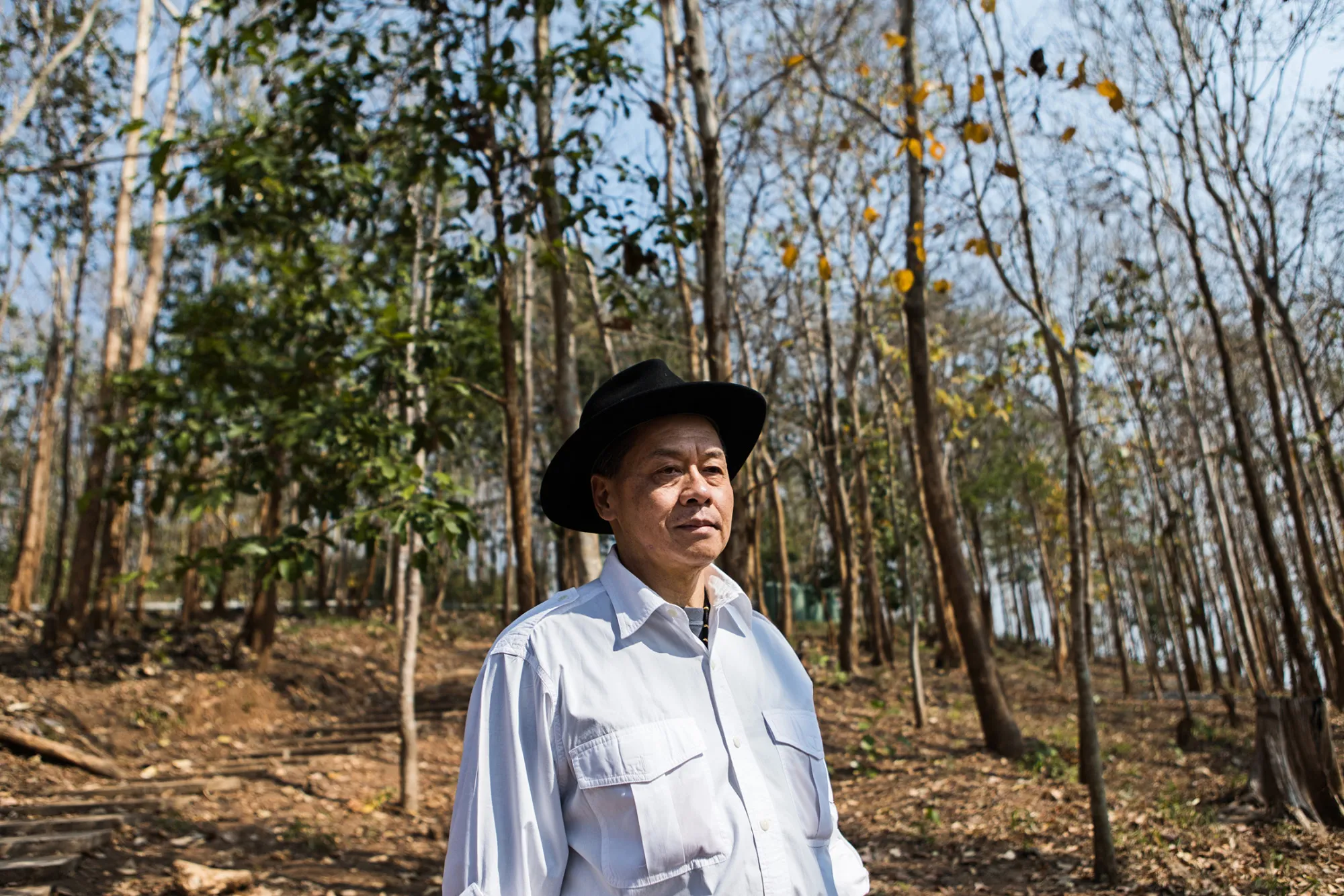 Bank CEO Prefers Saving Trees to Running His Empire - Bloomberg