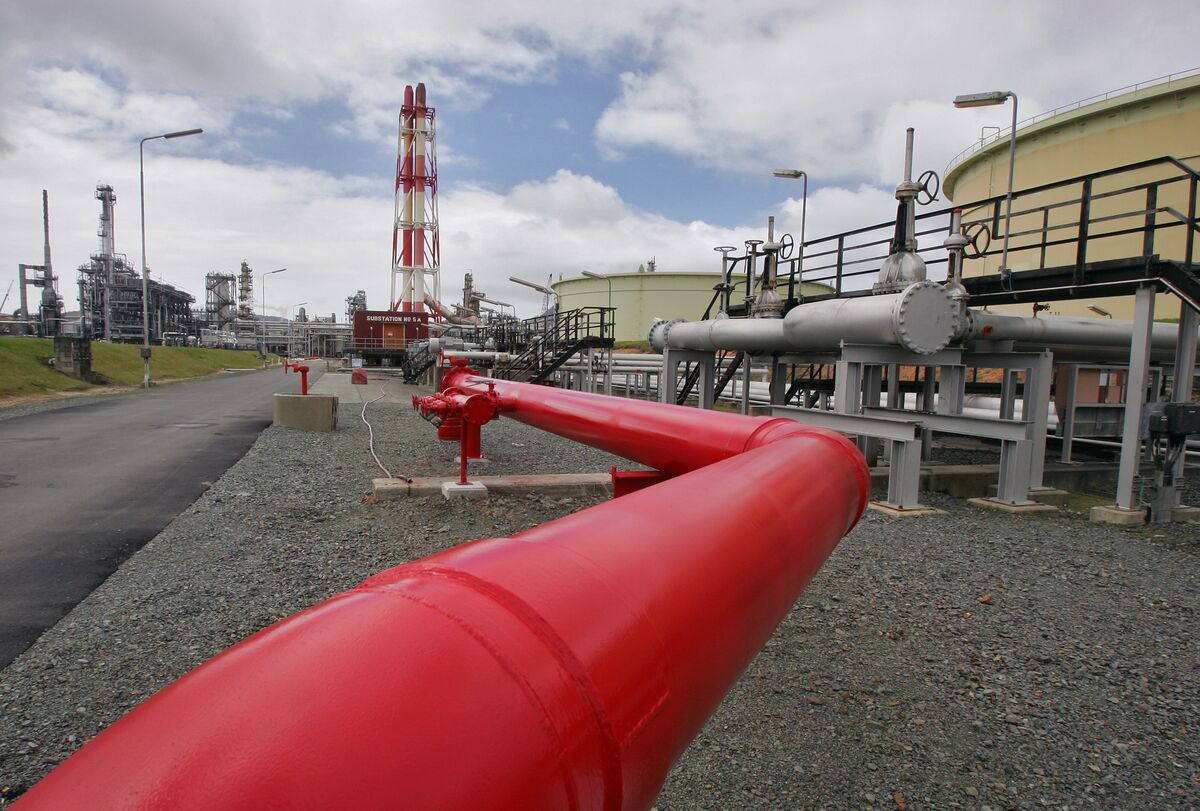 New Zealand Set to Scrap Oil, Gas Exploration Ban in Second Half ...