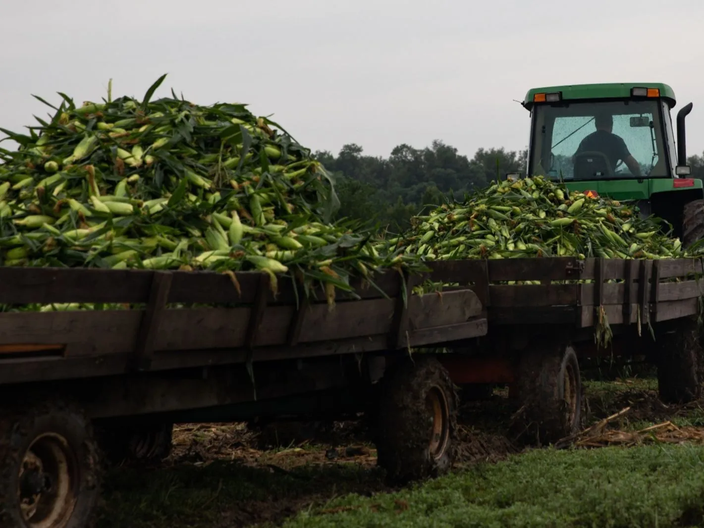Inflation: Higher Food Prices Aren't Making Farmers Richer - Bloomberg