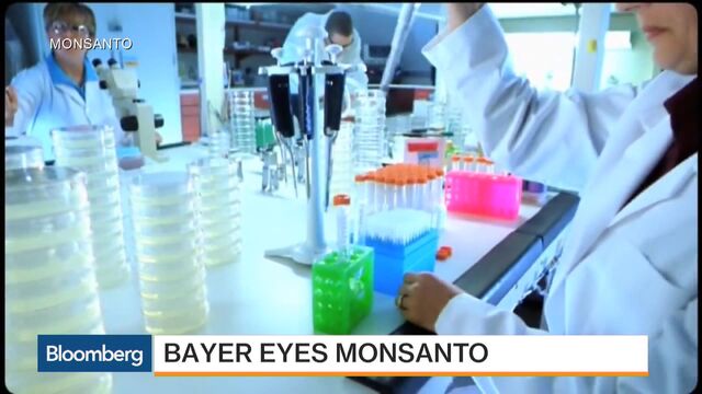 Bayer Eyes $42 Billion Monsanto in Quest for Seeds Dominance - Bloomberg