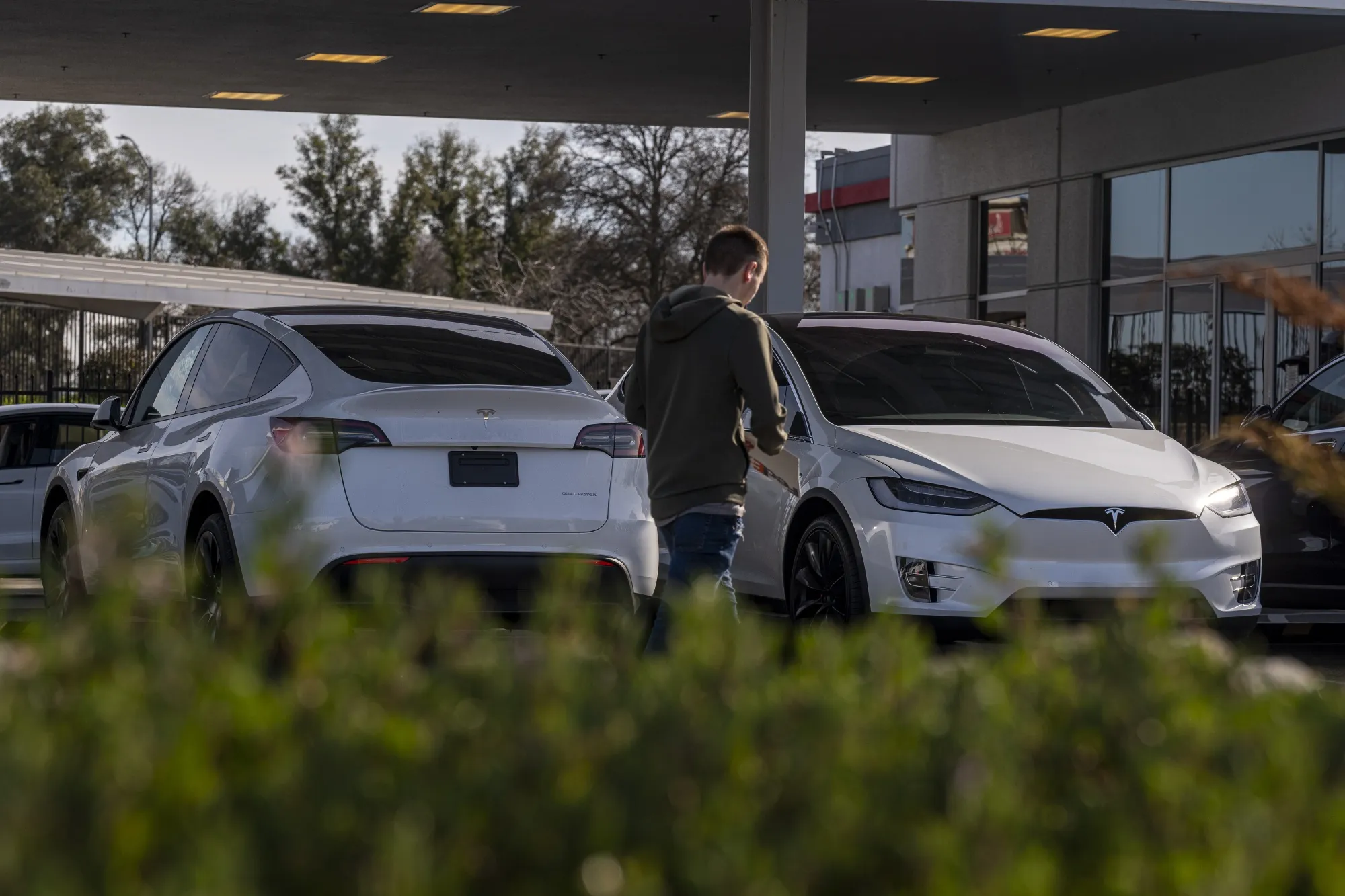 Hedge Funds That Piled Into Big Tesla Short Stung by Rally - Bloomberg