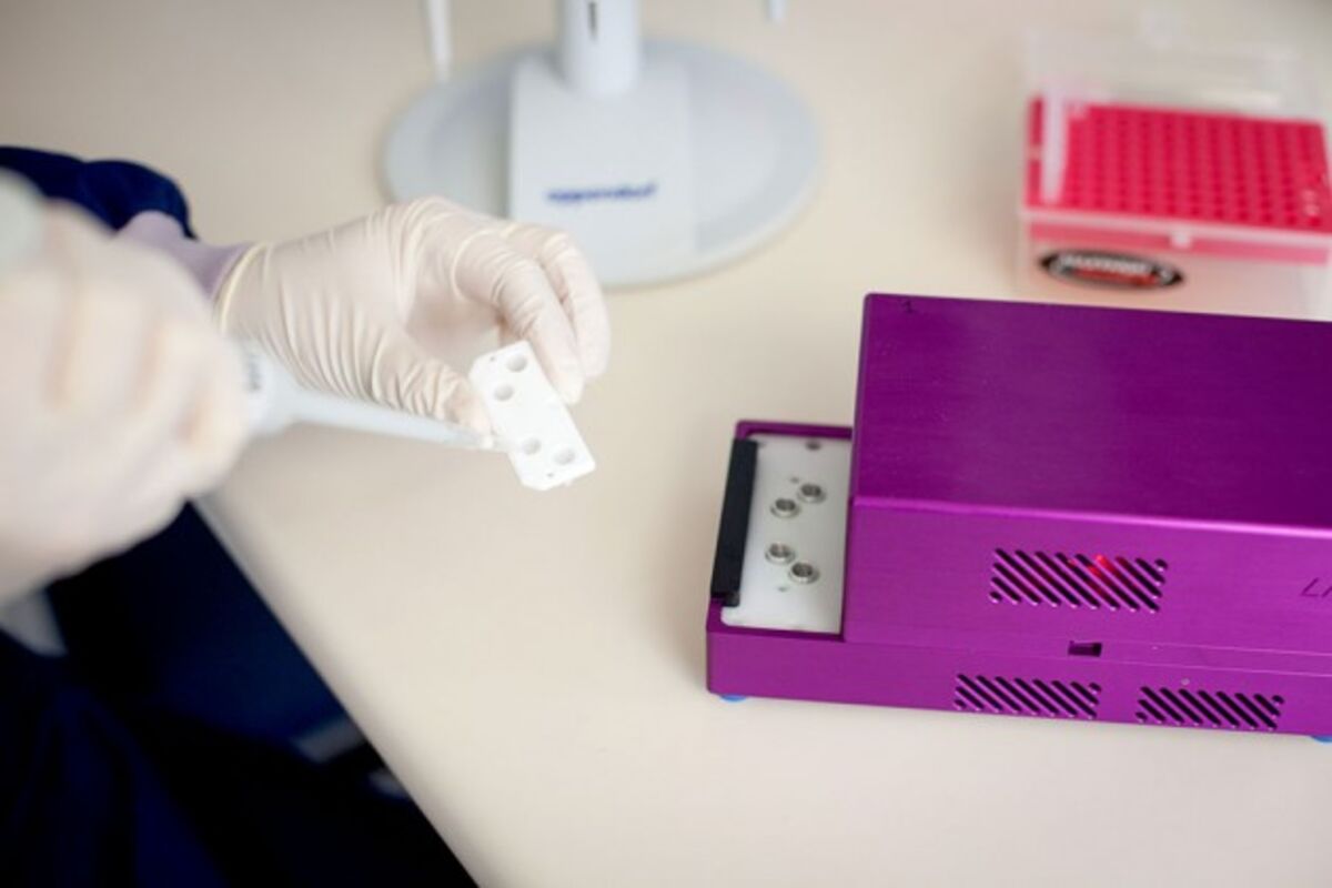 Portable DNA Sequencer Could Diagnose Ebola - Bloomberg