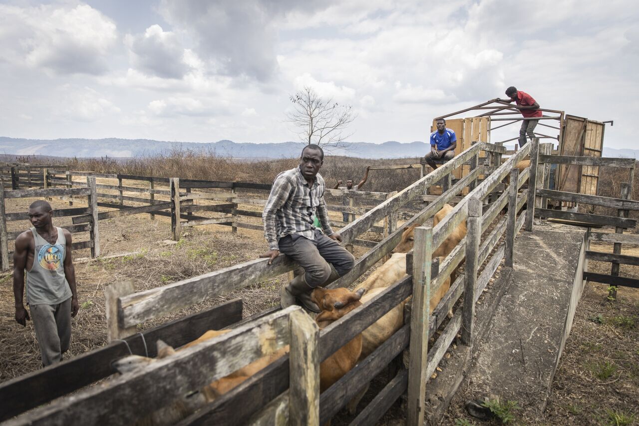 Climate Change Prevention Could Bring Big Payday for Gabon