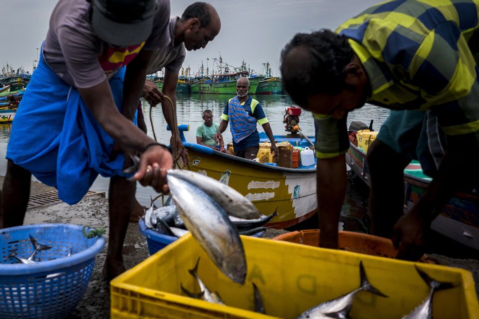 India to Push for Relief for Poor Fishermen at WTO Meeting - Bloomberg