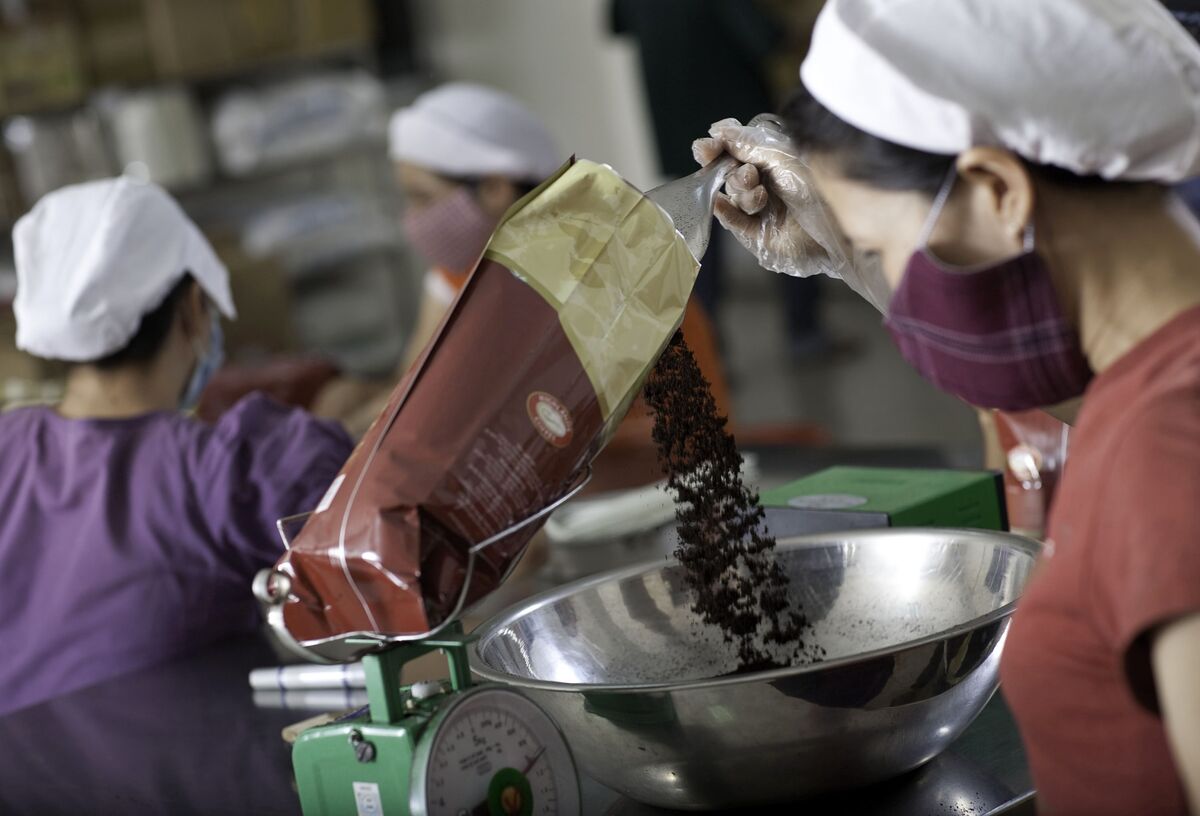 Coffee Will Get More Expensive as Vietnam Robusta Bean Reserves Shrink ...
