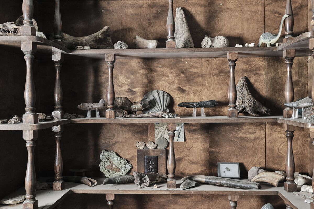 Dinosaur Cowboys Are Hunting for the Next $32 Million T. Rex Fossils