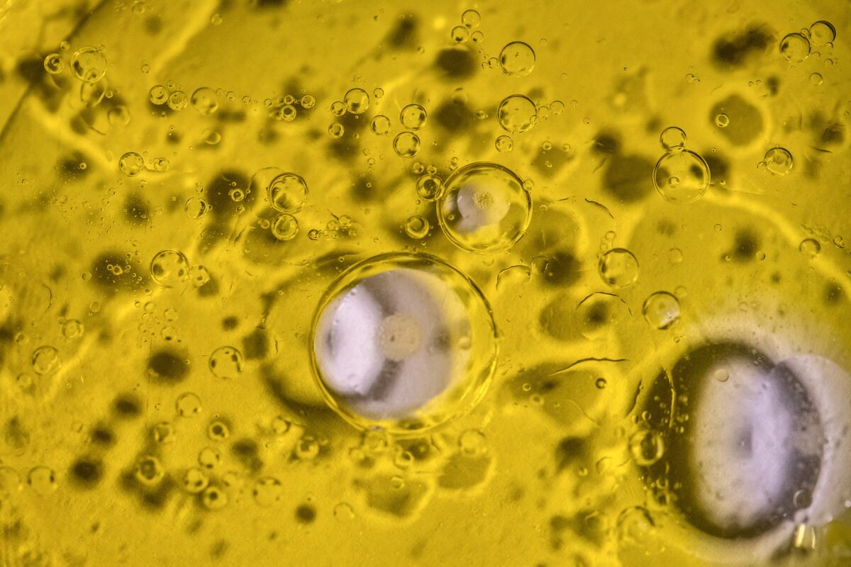 The Bubble Portfolio Is Surging Once Again - Bloomberg