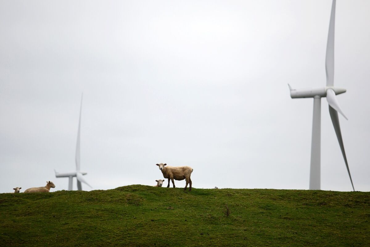 New Zealand Wind Farms Achieve Record Share of Power Generation - Bloomberg
