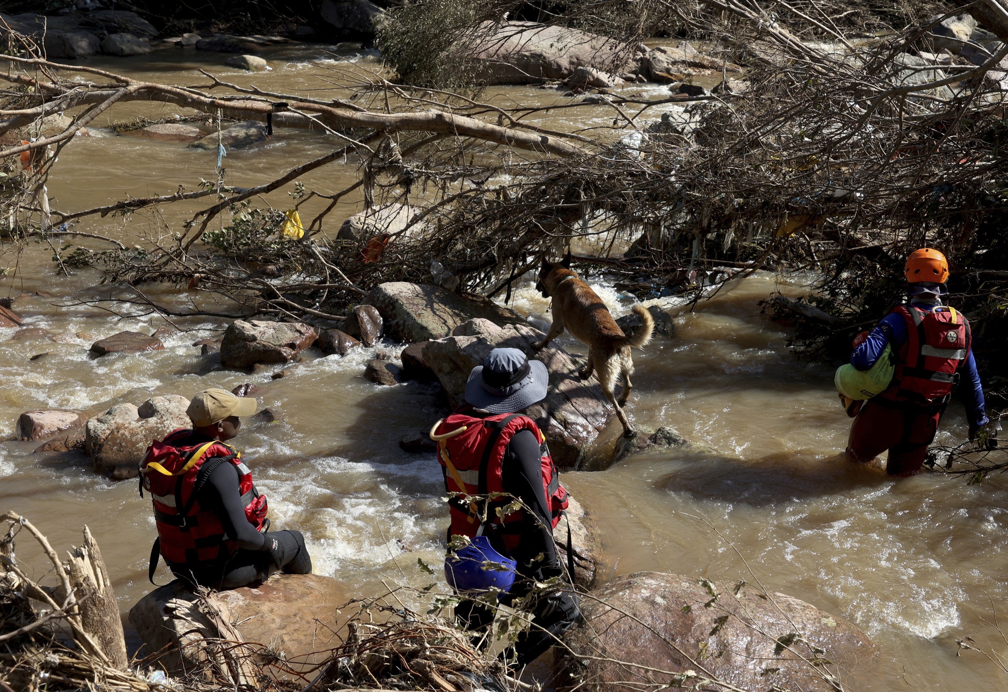 African Wildlife, Coasts Suffer Effects of Flooding, Drought - Bloomberg