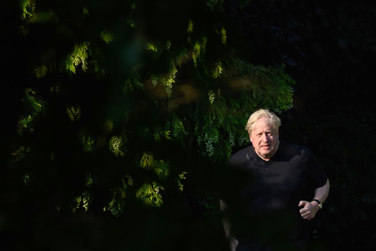 Boris Johnson Broke Rules Over Daily Mail Column, Says Acoba Chair Eric ...