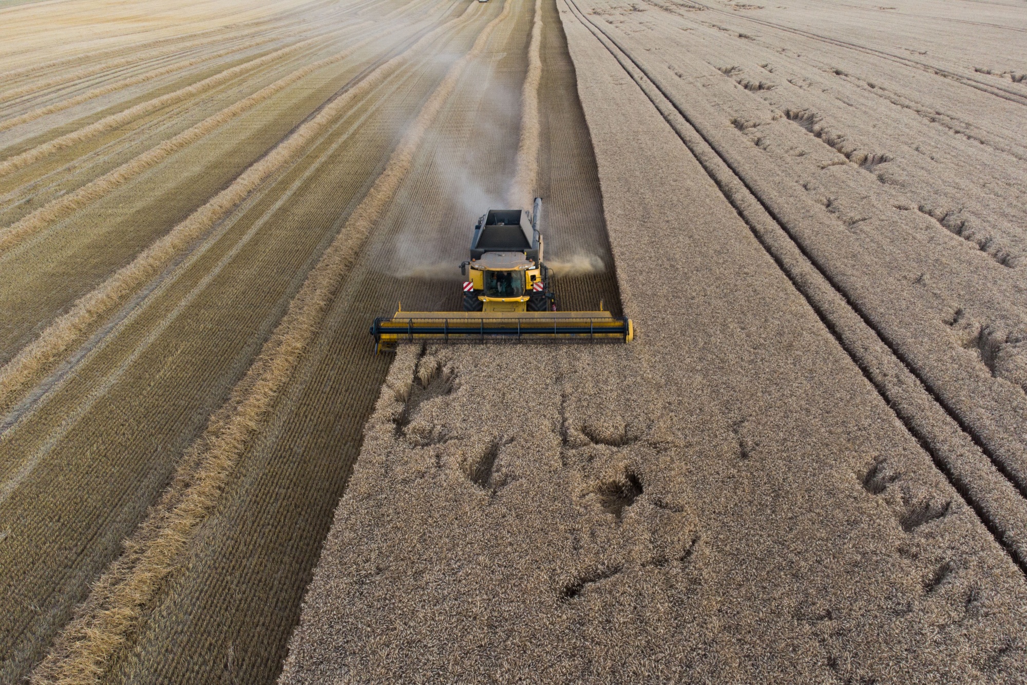 Wheat Wipes Out Year’s Gain to Help Ease Food-Inflation Fears - Bloomberg