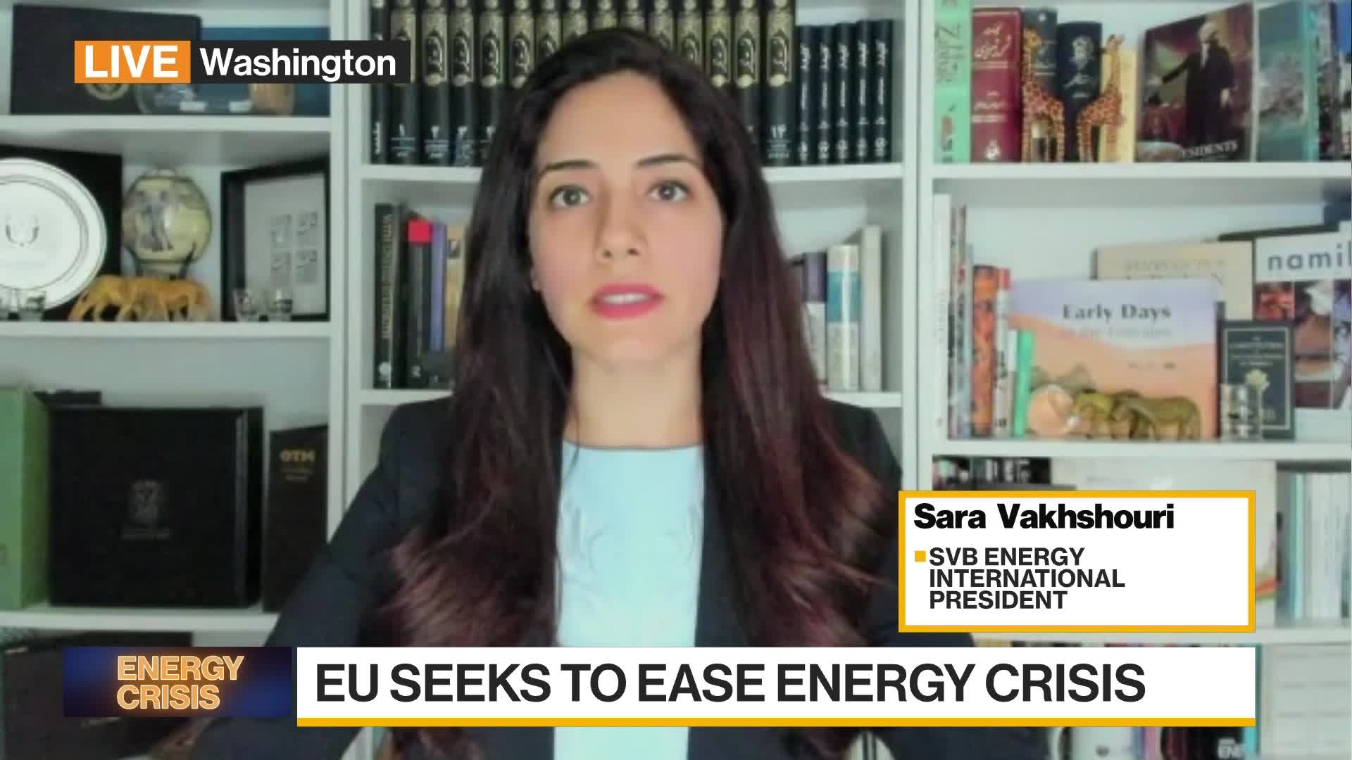 Watch SVB International's Vakhshouri on Energy Market - Bloomberg