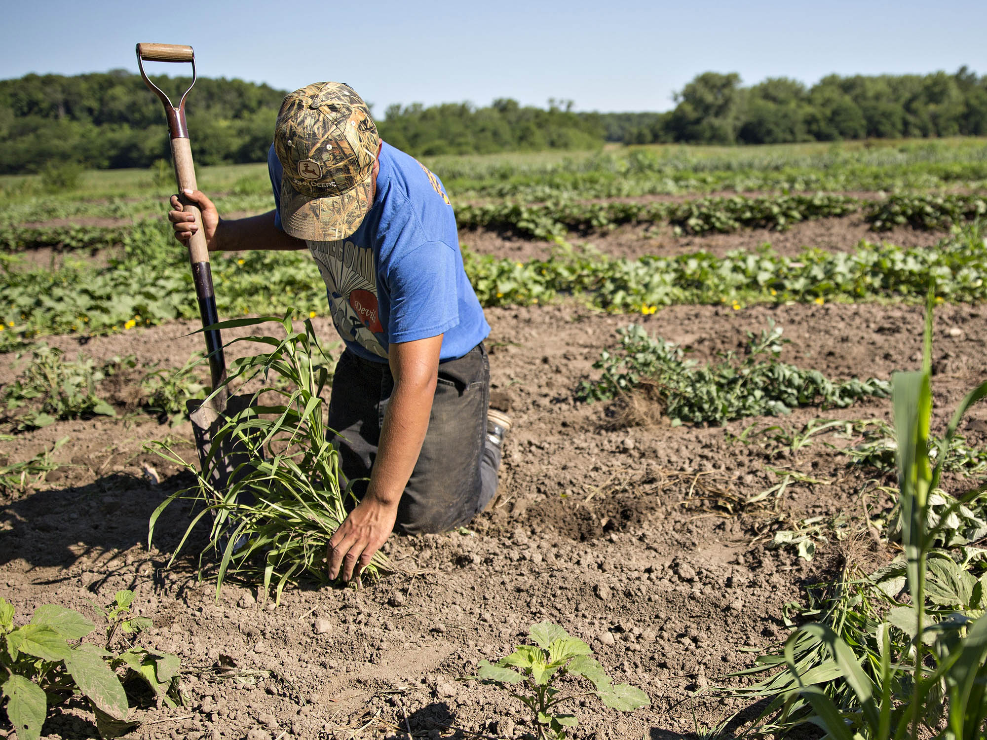 U.S. Farm Finances Worsen Despite Trump Trade War Aid - Bloomberg