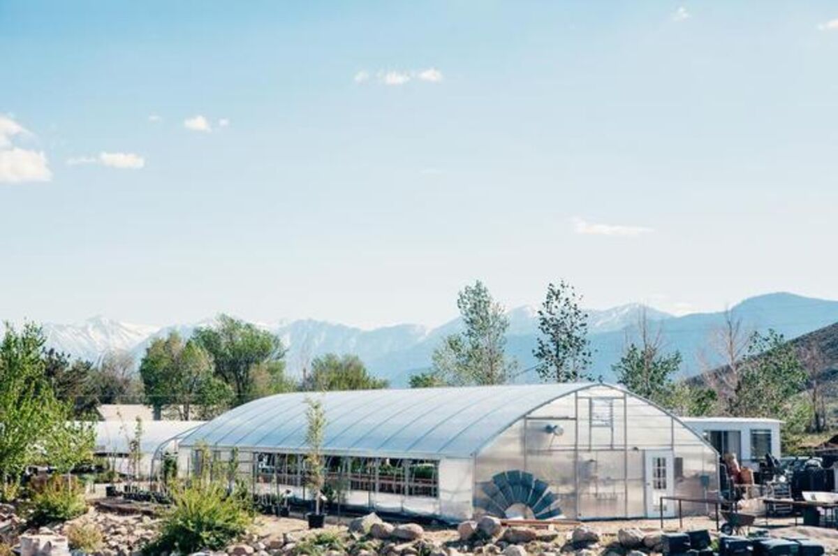 How to Farm Fish in the Nevada Desert - Bloomberg