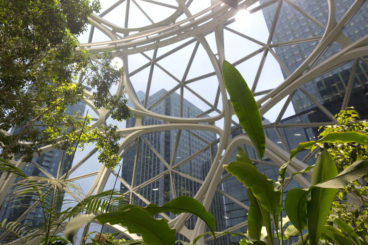 Chief Sustainability Officers Earn Up to $1.5 Million in ESG Hiring ...