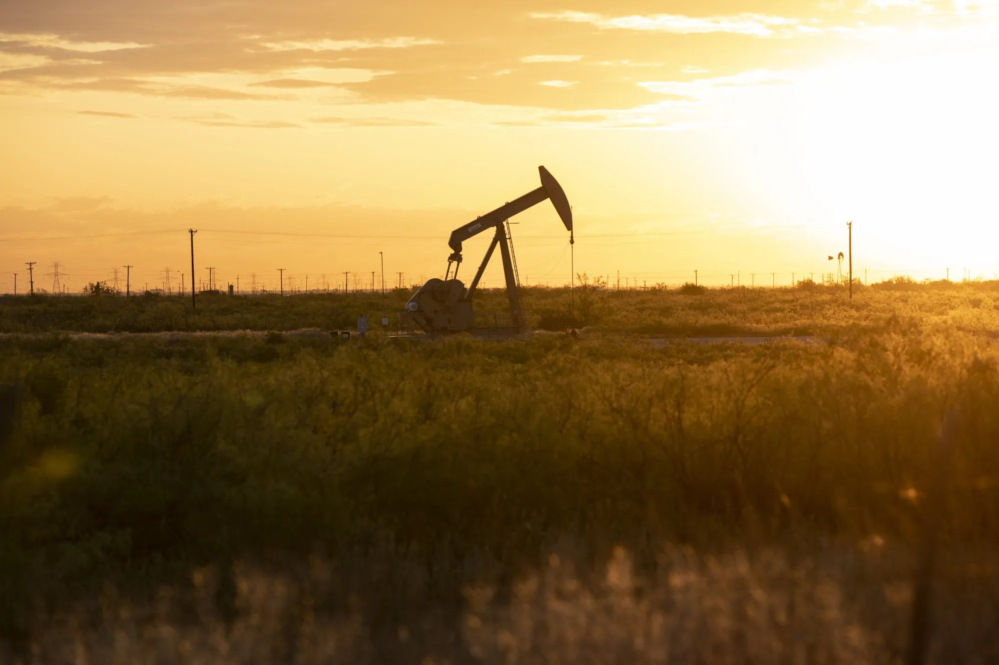 Latest Oil Market News and Analysis for November 12 - Bloomberg