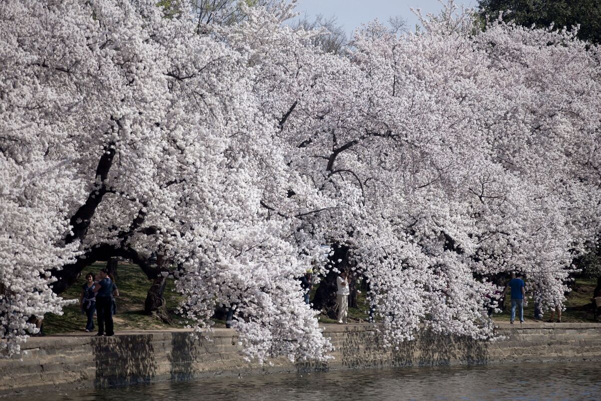 FOMC: Fund Manager Inflation Fears Bloom for the Fed's Rite of Spring ...