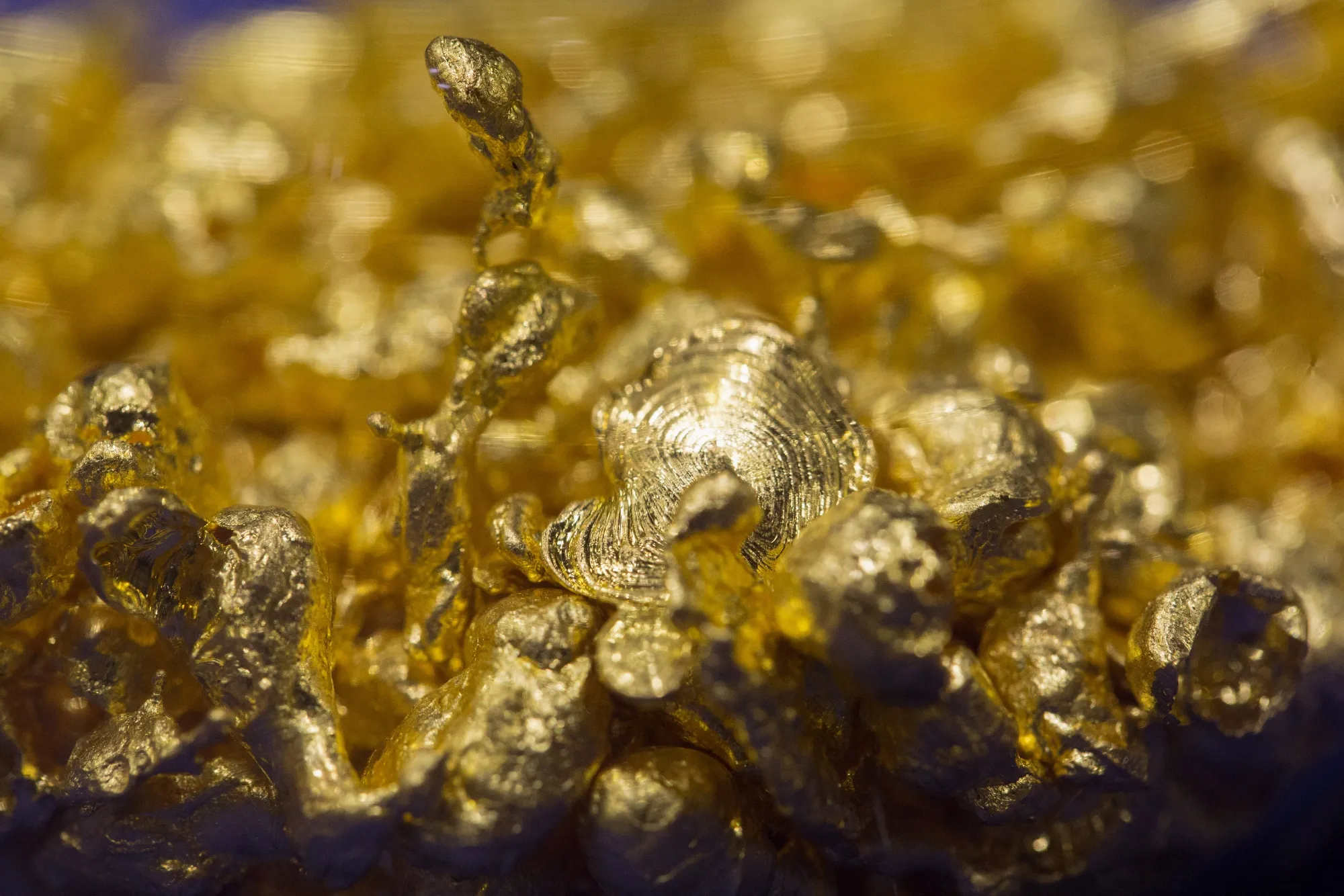 Gold News: Where Will it Go After Sharp Plunge From Record? - Bloomberg