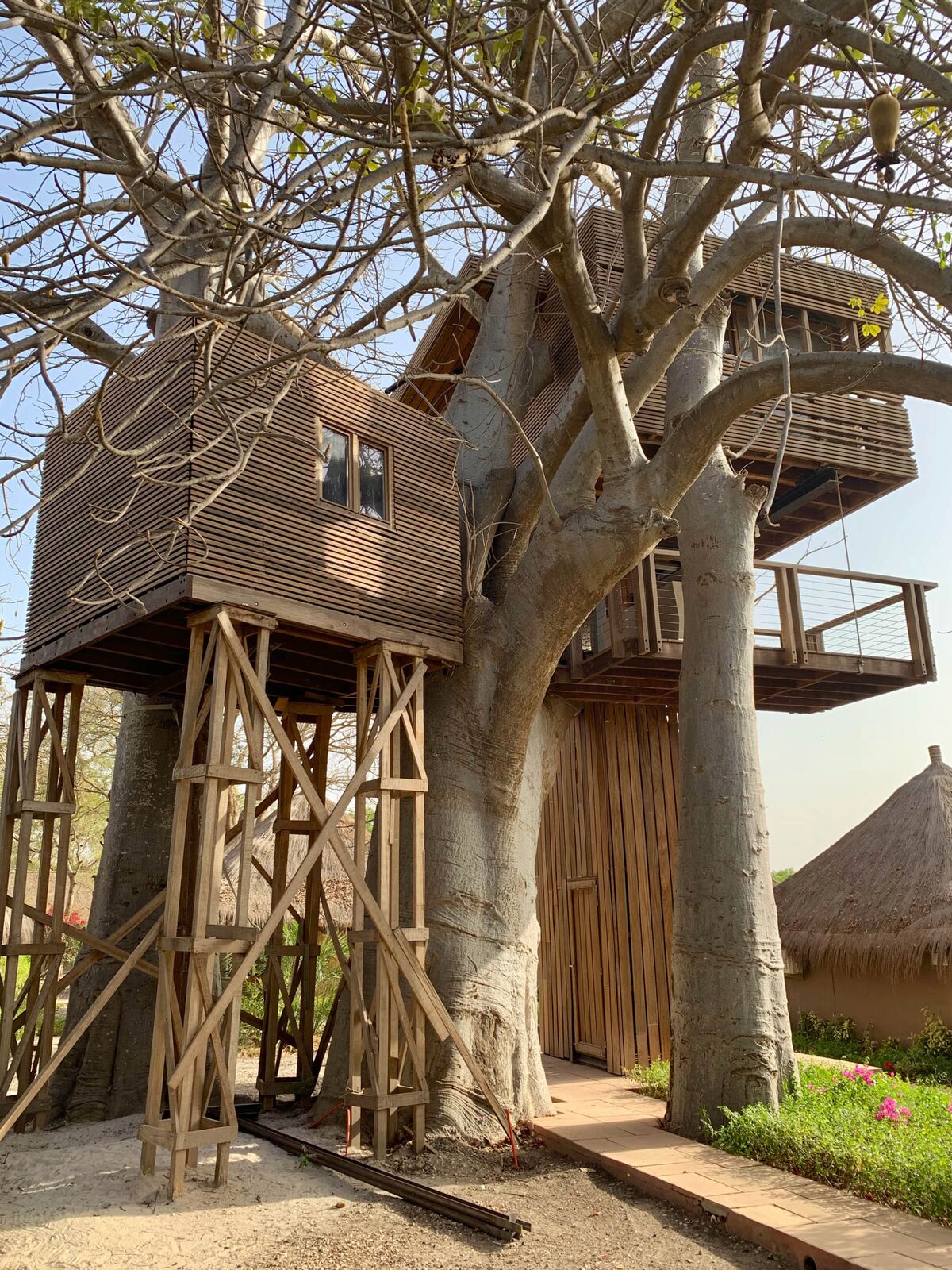 Tree House Of Bagobo Tribe