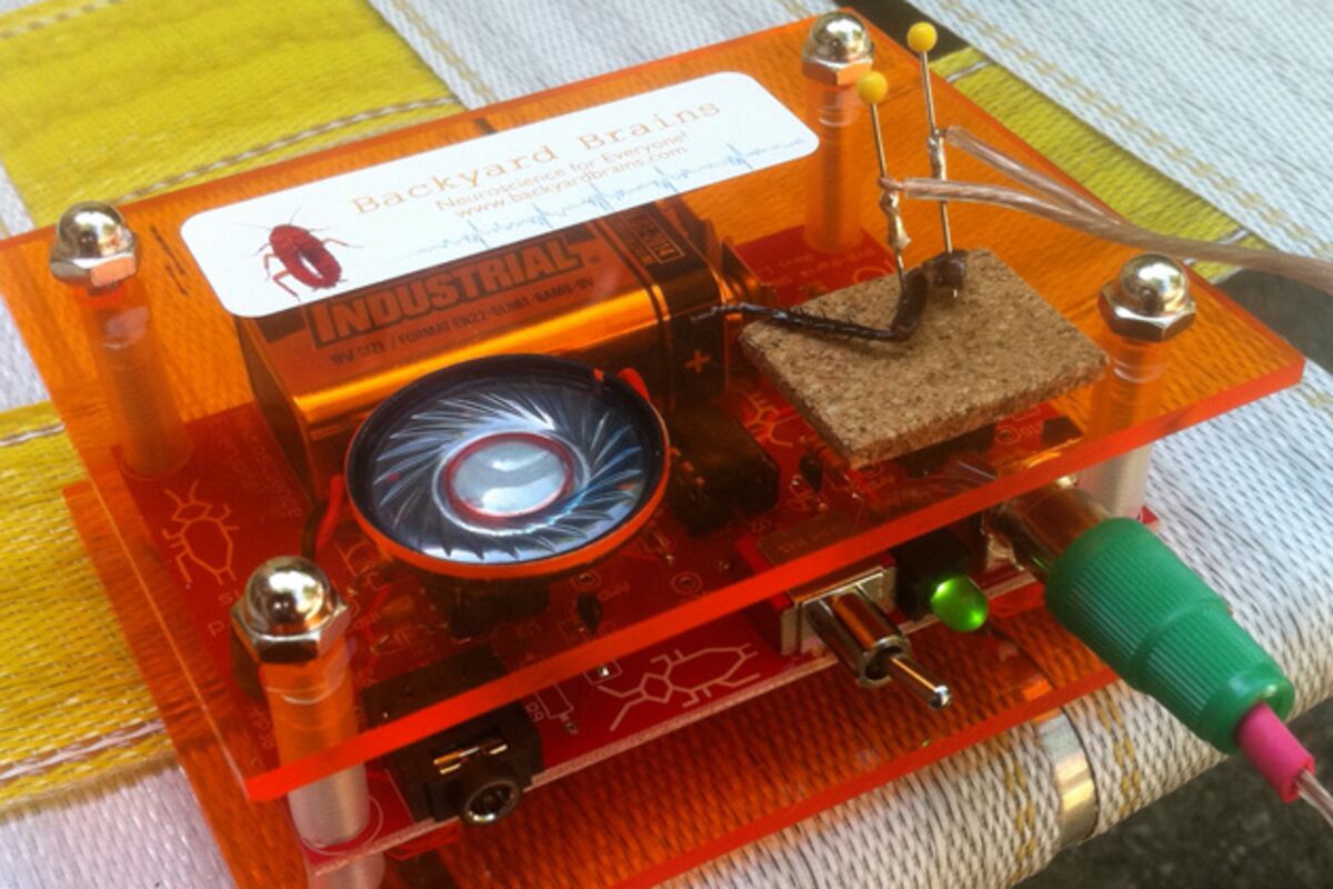 For $100, A DIY Kit for Watching Roach Neurons - Bloomberg