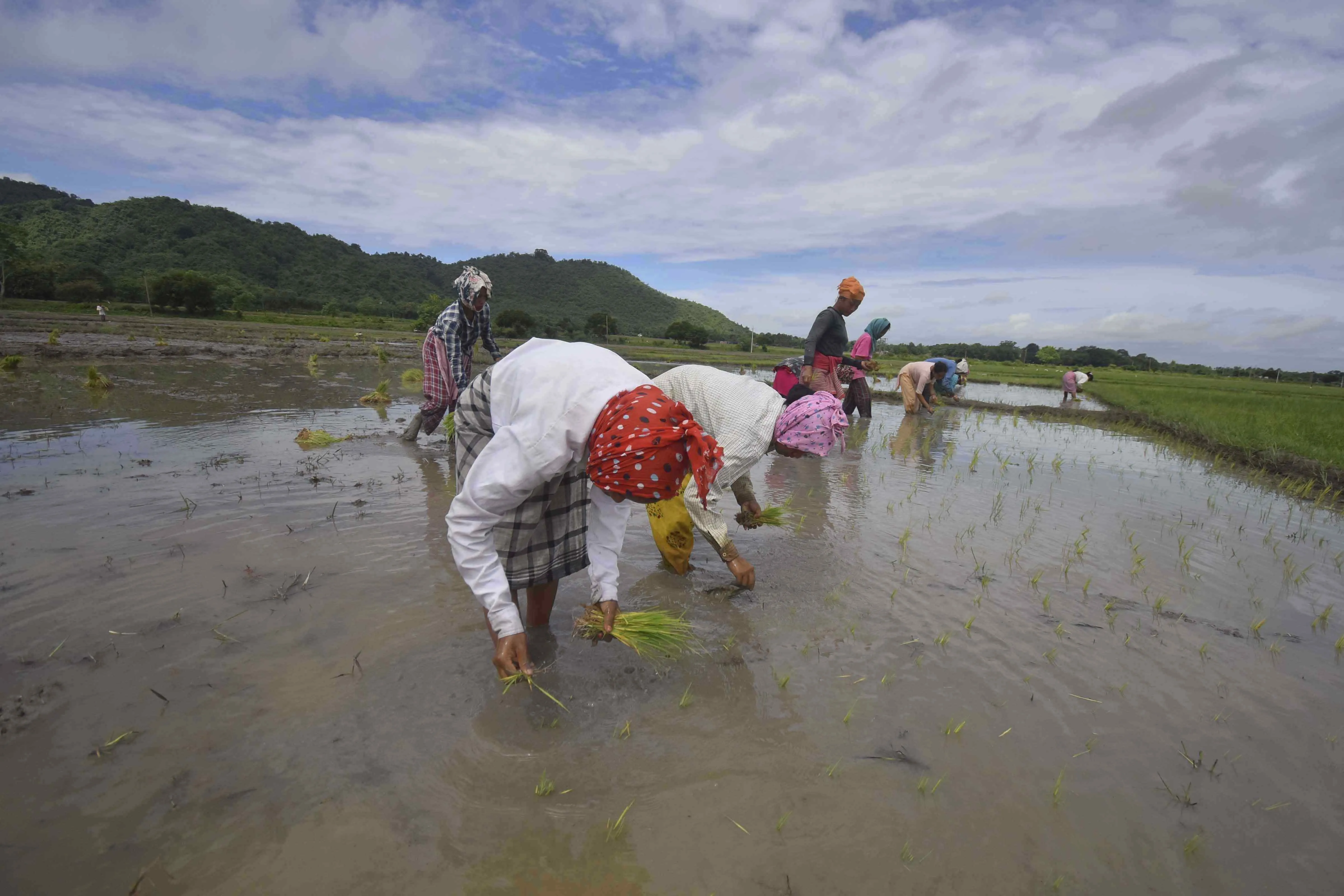 India’s Key Monsoon Rains Set to Begin Days After Official Start ...