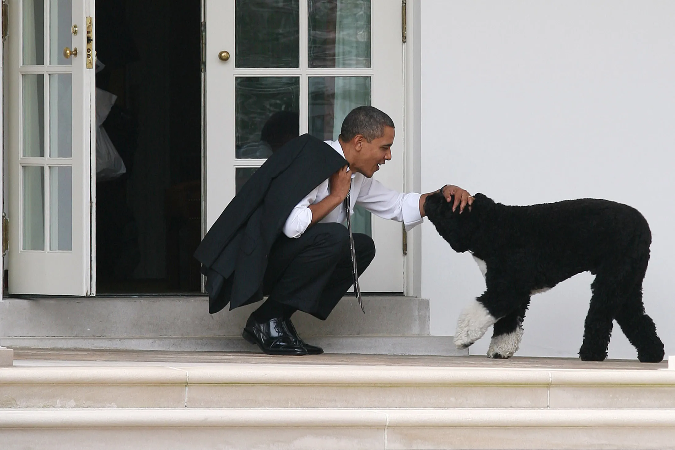 Obama Dog Bo, Once a White House Celebrity, Dies From Cancer - Bloomberg