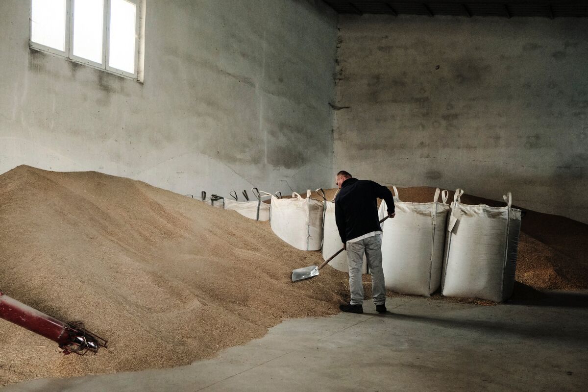 EU Farms Ask Bloc to Limit Ukraine Trade Measures - Bloomberg