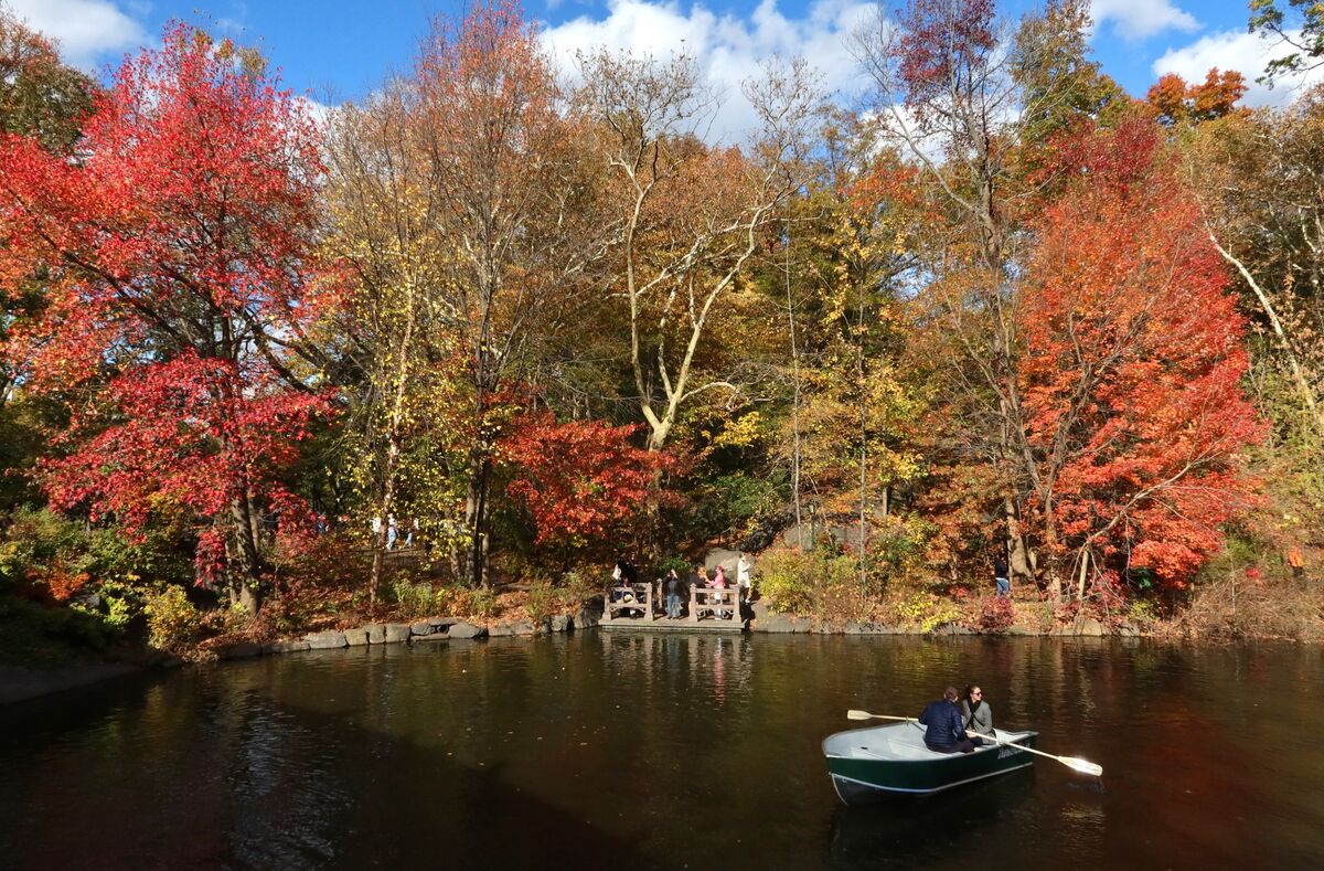 How El Niño Will Affect The 2023 24 Winter Weather Forecast Bloomberg