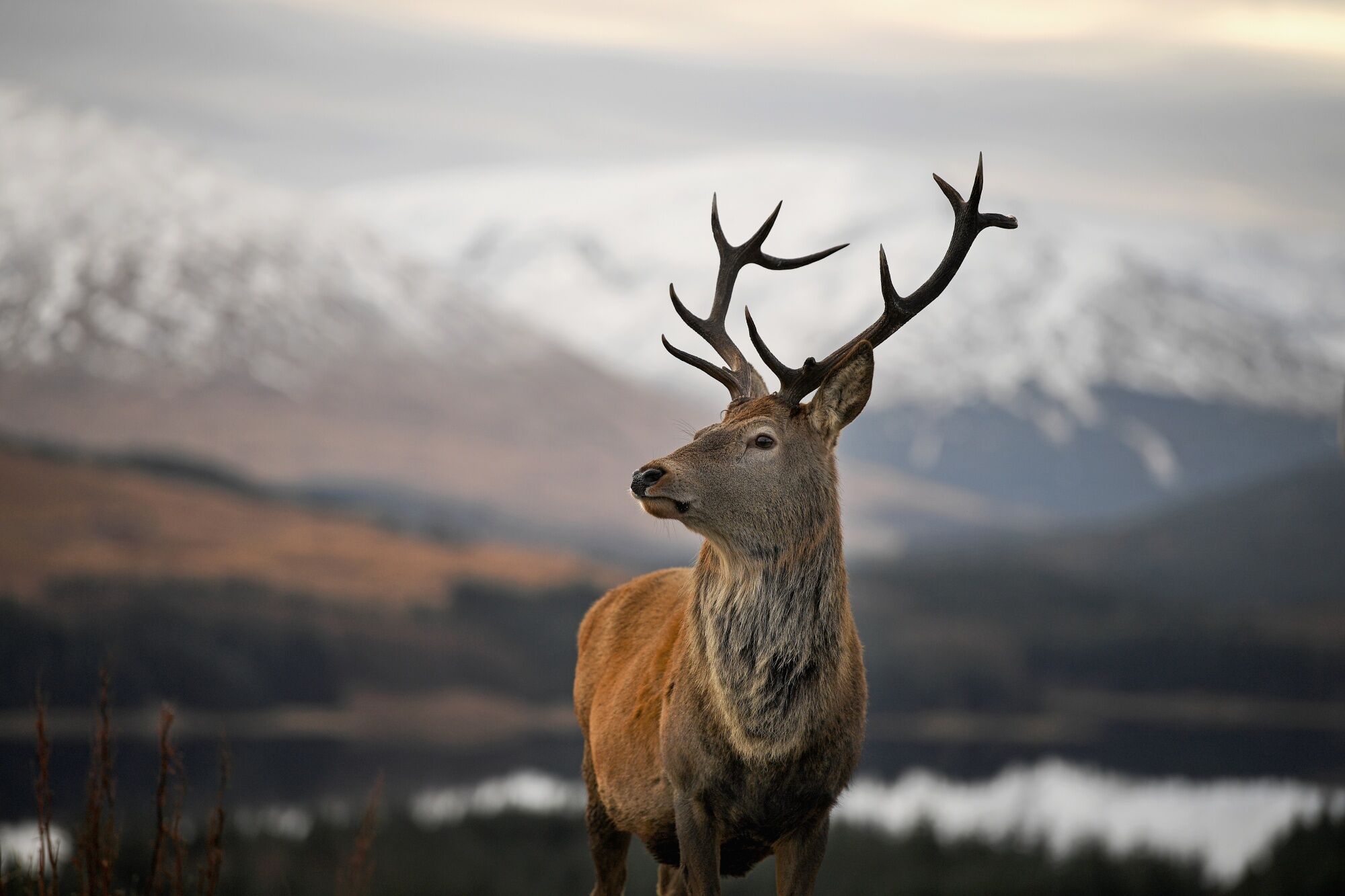 A Climate Change Lesson from Scotland's Little Ice Age - Bloomberg
